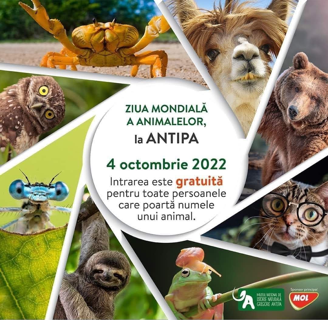 MUZEUL ANTIPA: Intrarea gratuită de Ziua Internațională a Animalelor ...