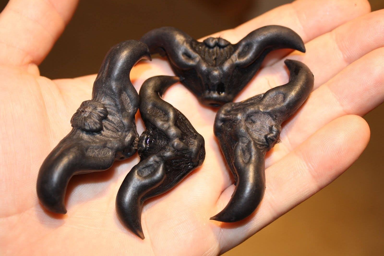 CIULINUL DE BALTĂ: Fruct bogat în proteine, grăsimi vegetale, zaharuri ...