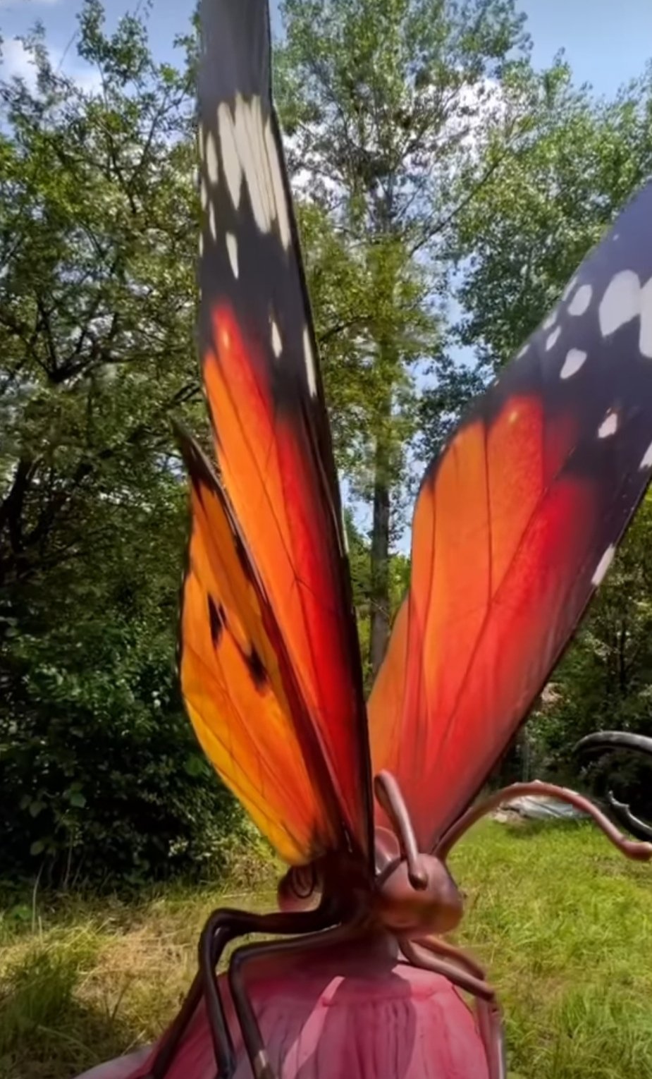 ODORHEIU SECUIESC: Insect Park, unic în România, 20 de insecte gigant ...